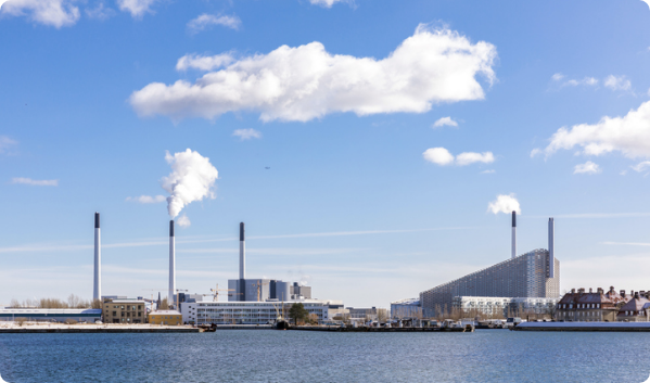 BioBiz | Supply Chain Software | ConiferSoft